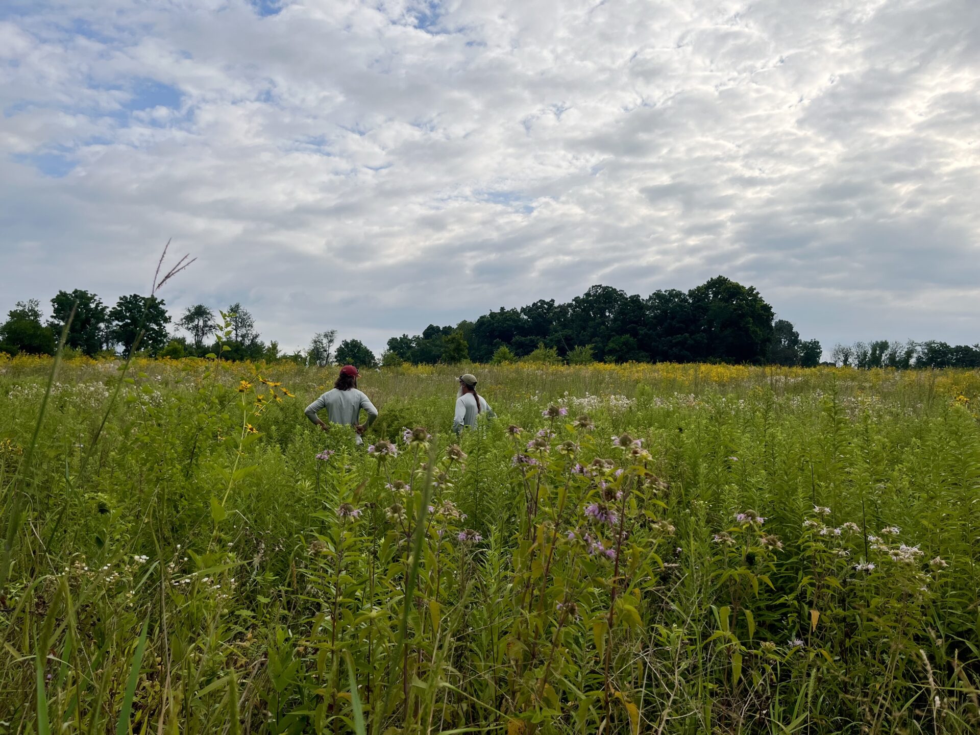 Find an Nature Preserve Near Me | Natural Lands