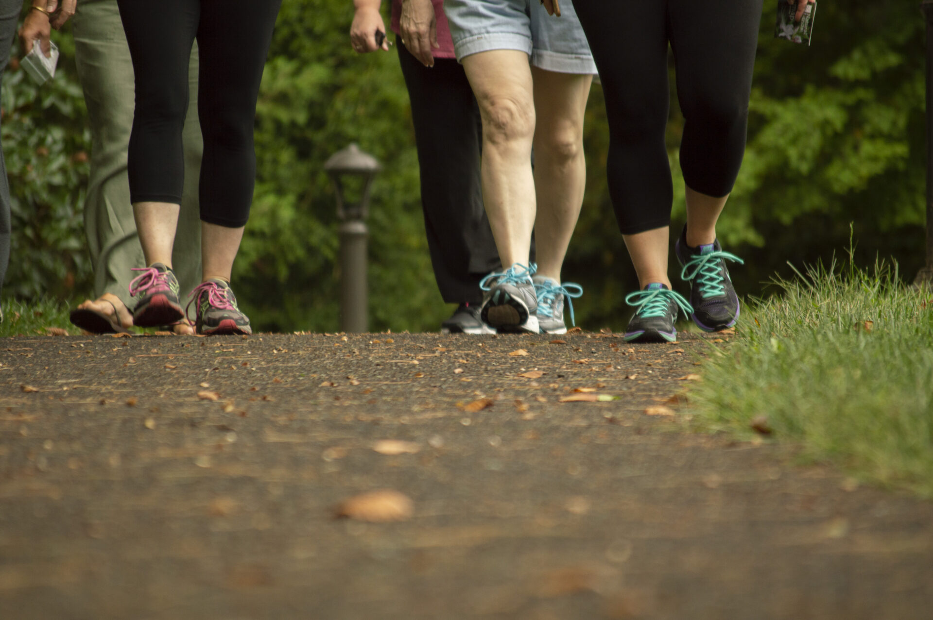 Planning Township Parks & Trails