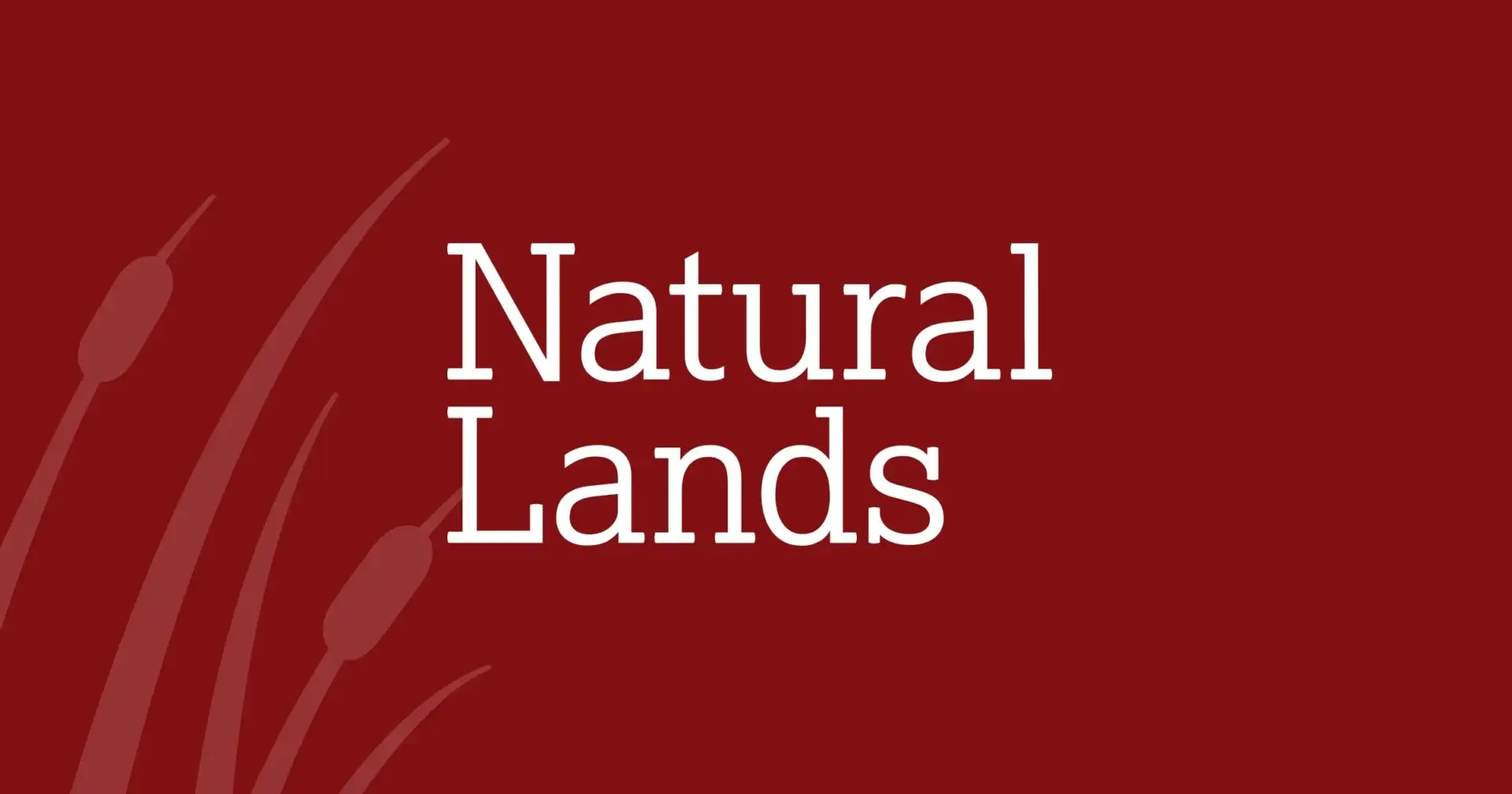 Natural Lands | Land for Life. Nature for All.