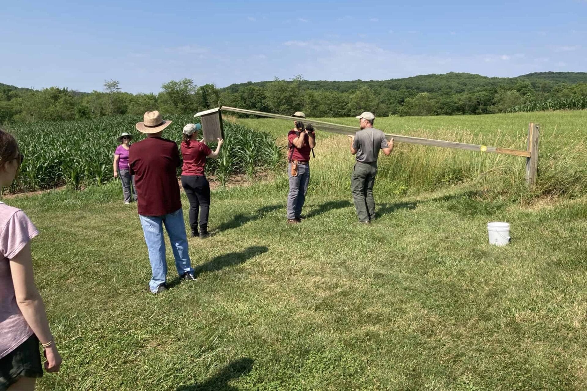 Kestrel Conservation