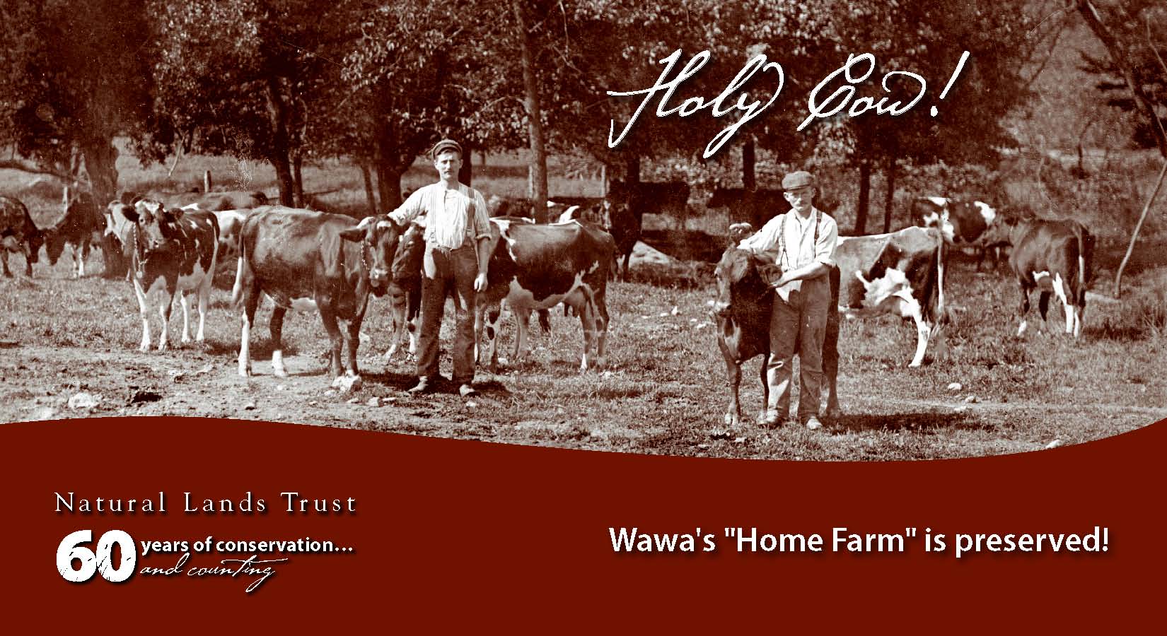 Holy Cow! Wawa's "Home Farm" Is Preserved!