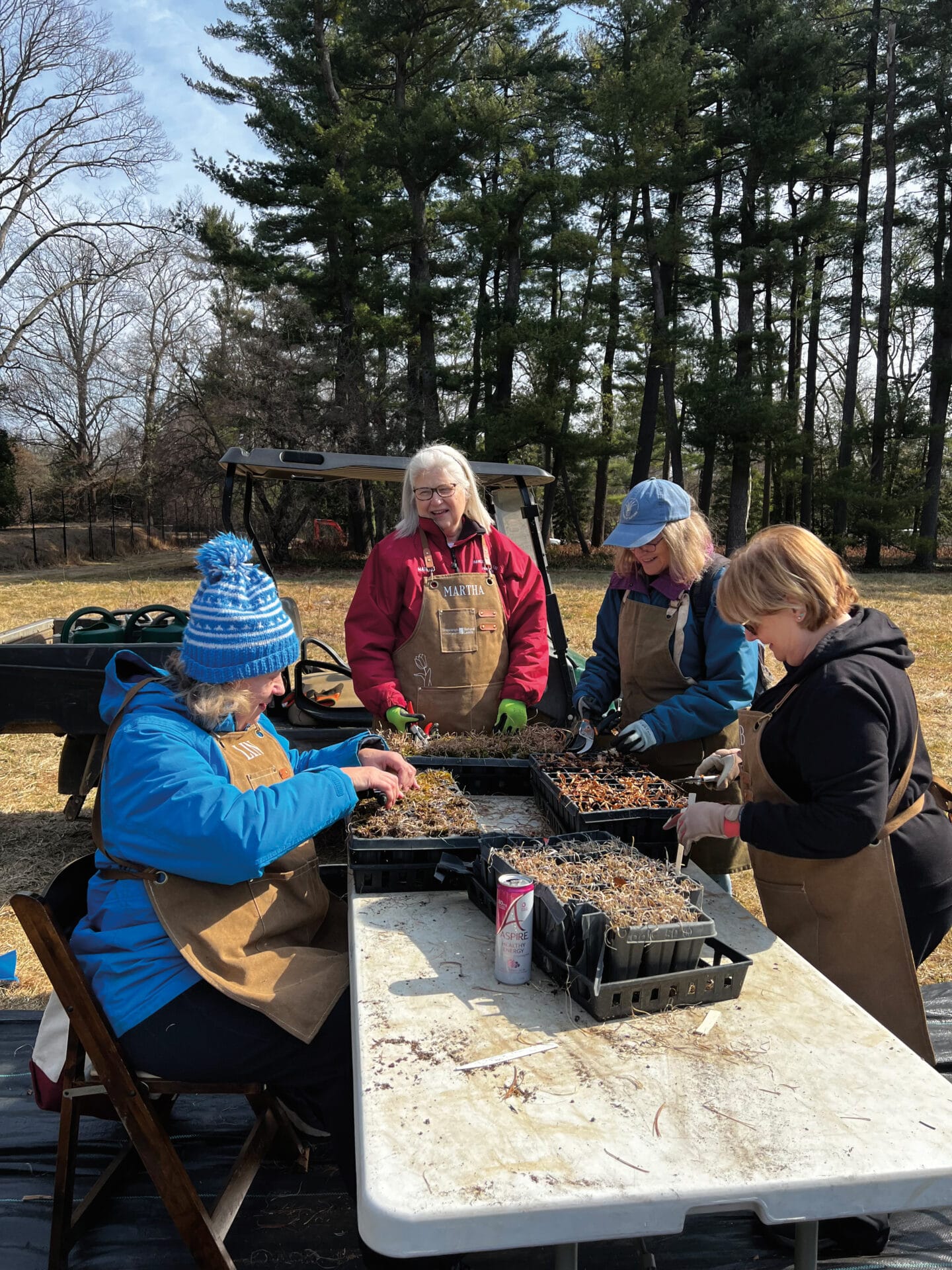 Volunteers are Tending Tomorrow's Transplants