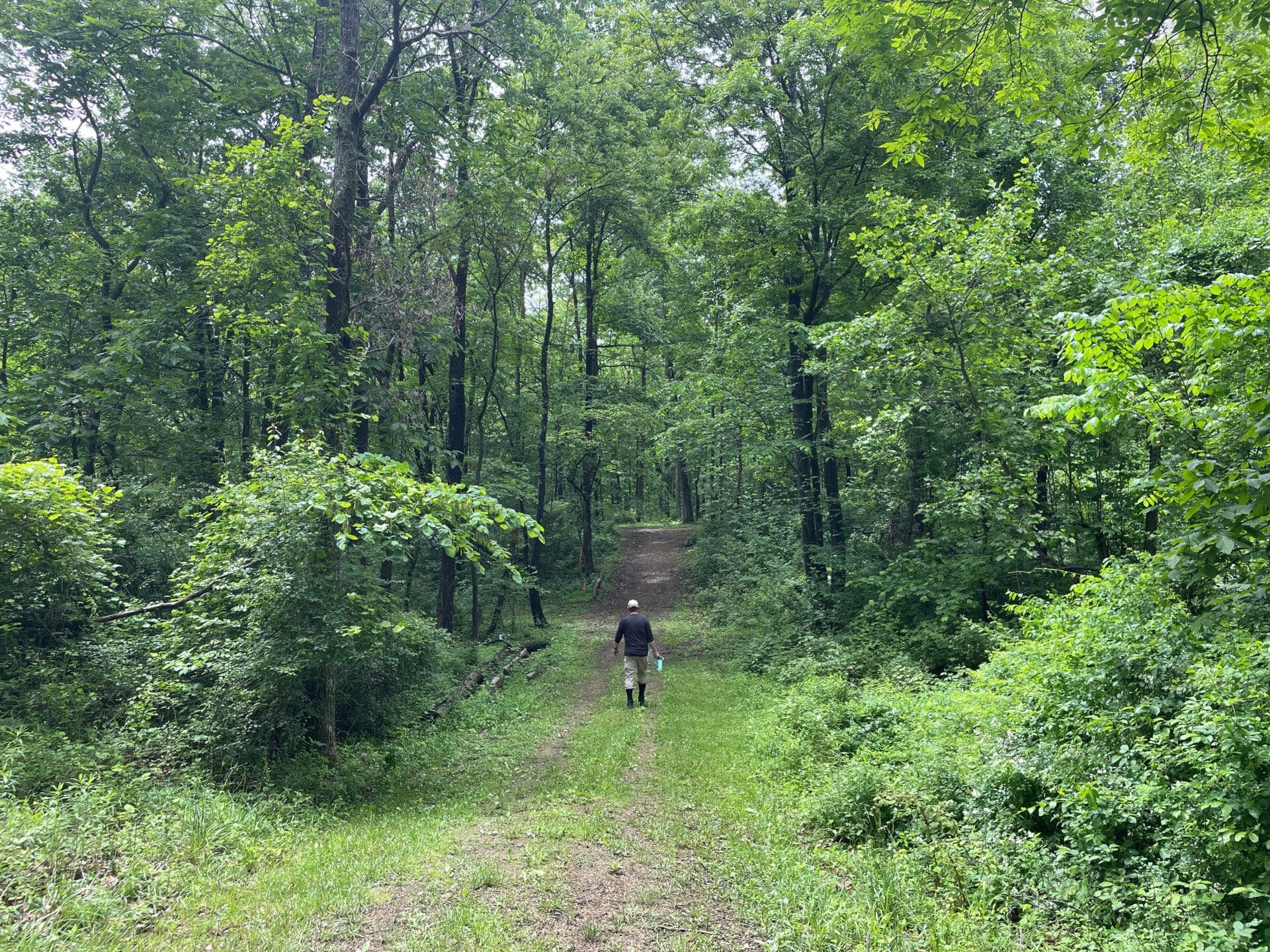 Preserving 154 Acres of Forest Along the Kittatinny Ridge