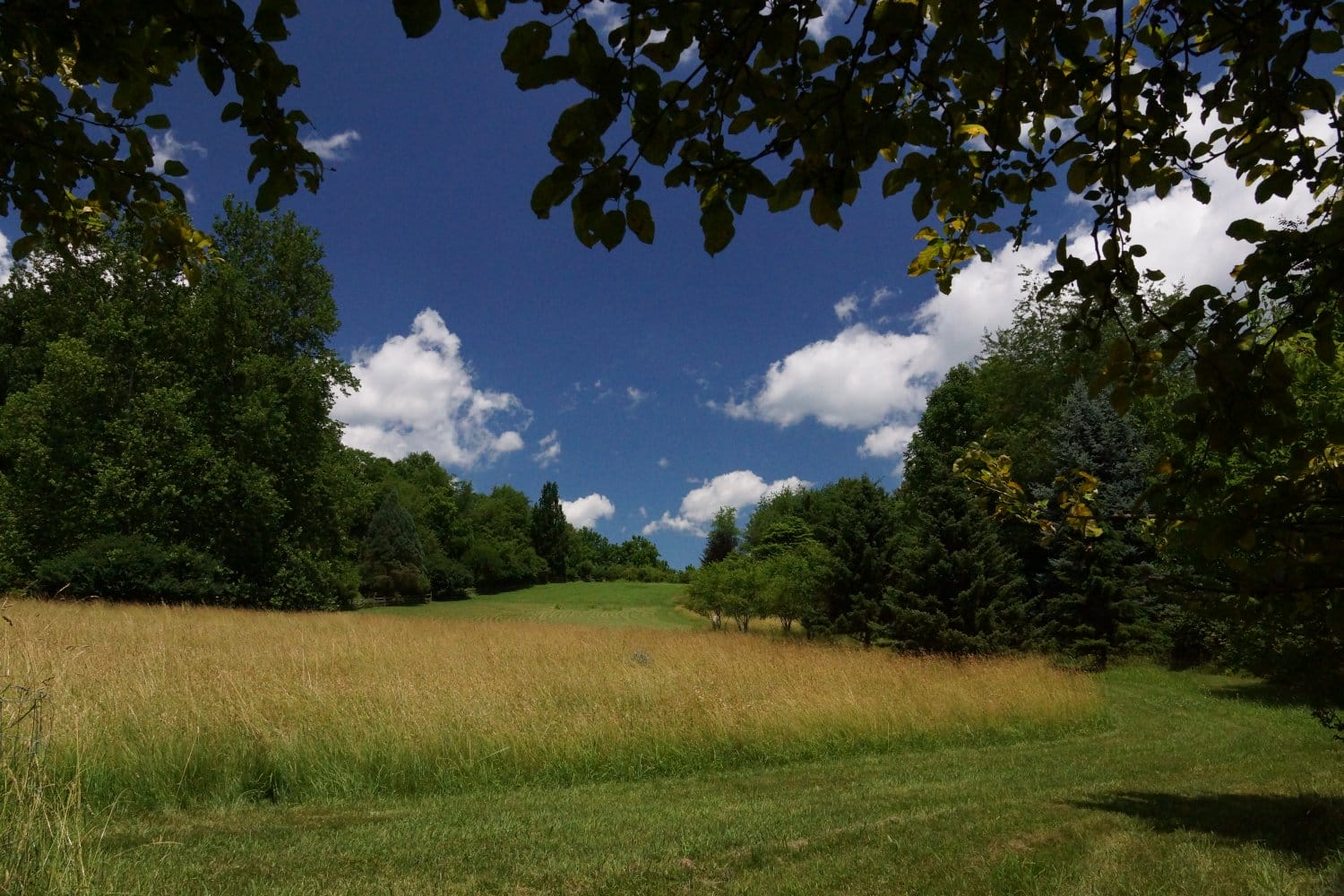 Delco Land That’s Been Stewarded for 40 Years Now Permanently Preserved