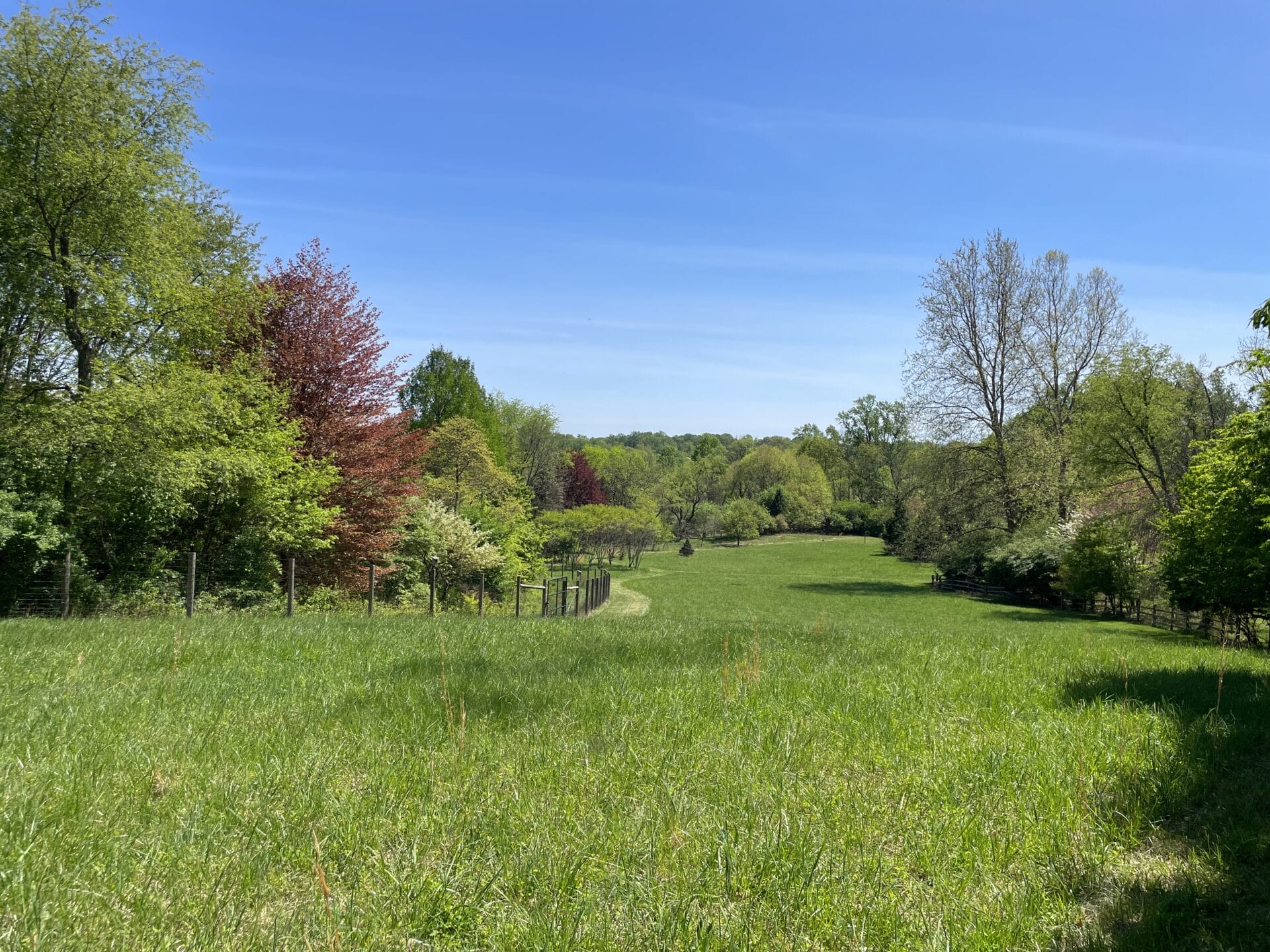Delco Land That’s Been Stewarded for 40 Years Now Permanently Preserved